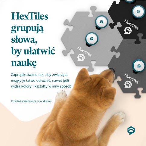 HexTile — maty na przyciski dźwiękowe dla psa i kota | e-mordka.pl